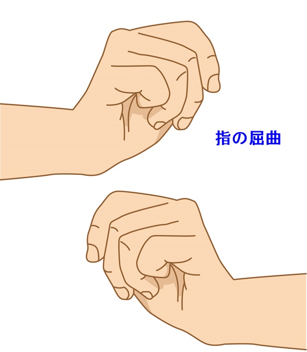 手指の動きとその構成の説明です。 神戸元町リリーフ整体院